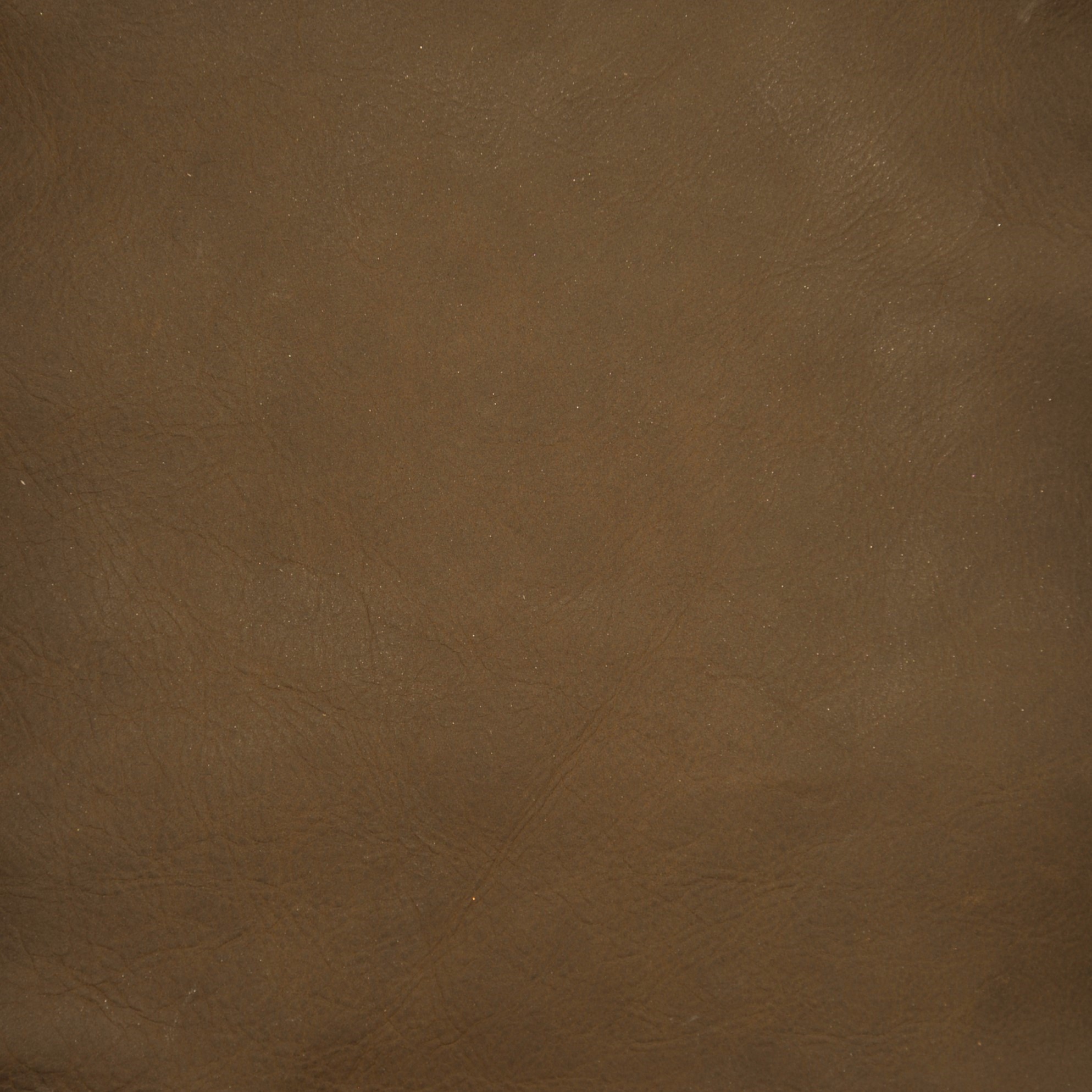 Wilder Hickory – Arizona Leather